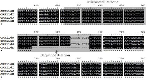Bioedit Sequence Alignment Weareascse