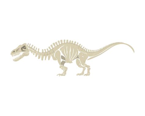 Premium Vector Dinosaur Skeleton Isolated On White Background Vector