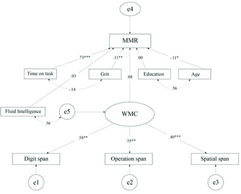 Structural Equation Model Of The Effects Of Working Memory Capacity Download Scientific Diagram