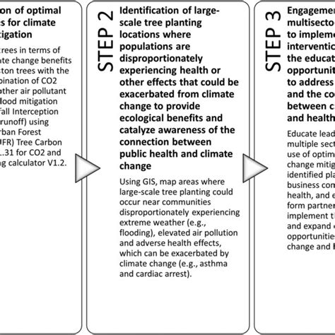 Three‐part Framework To Implement Large Scale Tree Planting To Address