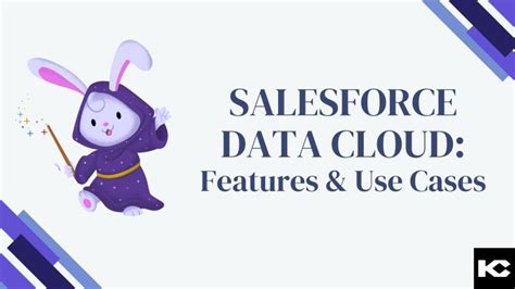 Salesforce Data Cloud Features And Use Cases [2023] Kizzy Consulting Top Salesforce Partner