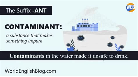 Master The Suffix Ant Real Examples Free Pdf Download World
