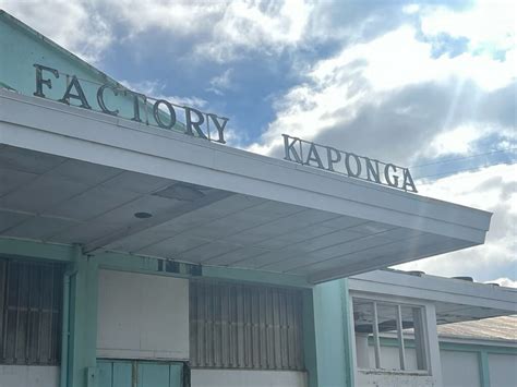 Why Kaponga Is A Great Place To Live Mcdonald Real Estate