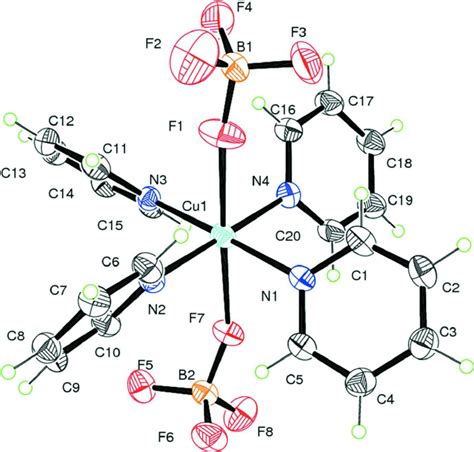 An Ortep Diagram Showing The Molecular Structure Of The Title Complex Download Scientific