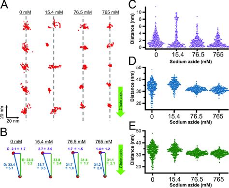 Analyses Of Particle Distribution A Distribution Of Particles In A