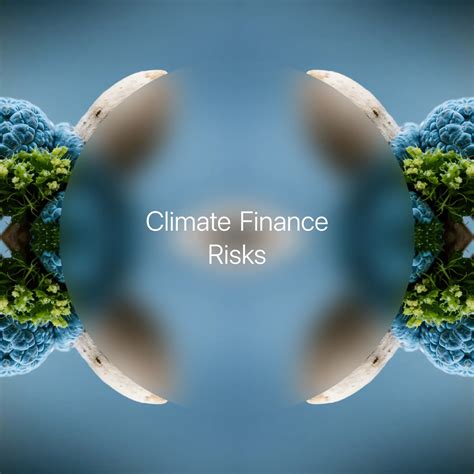 Climate Finance Risks → Term