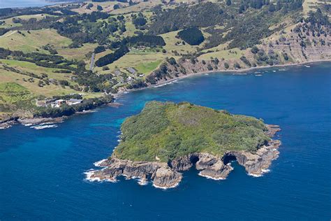 Marine Reserve Declines Hauraki Gulf Forum Marine Reserve Declines