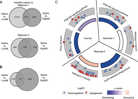 Figure 2 From Genome Wide Expression And Methylation Analyses Reveal Aberrant Cell Adhesion
