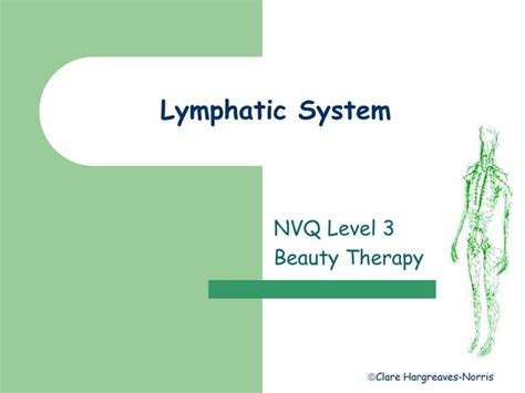 Lymphatic System Pptx