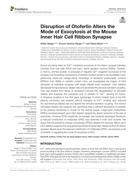 Pdf Disruption Of Otoferlin Alters The Mode Of Exocytosis At The