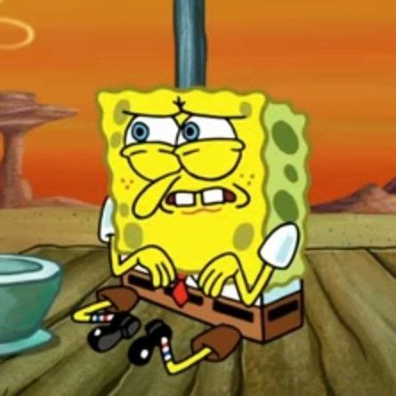 Spongebob Spongebob Spongebob Funny Pictures Spongebob Funny