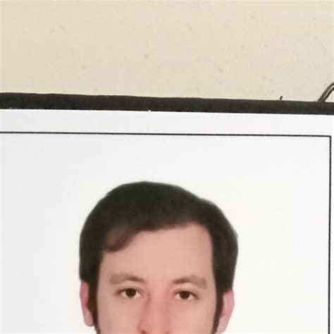 Hasan Mahir Mert Mimar Sinan Fine Arts University Edebiyat Research Profile