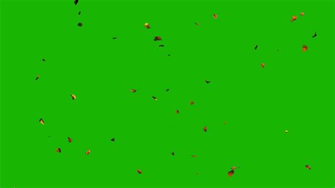 Falling Green Leaves 