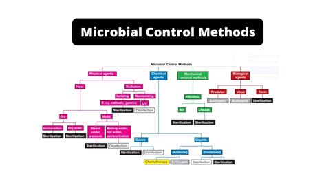 Microbial Control Methods Youtube