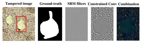 The Visualization Of Srm Filters Constrained Conv And The Combination