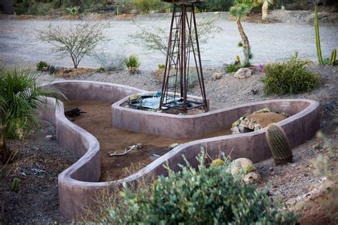 Desert Tortoise Habitat Desert Tortoise Enclosure Outdoor Desert