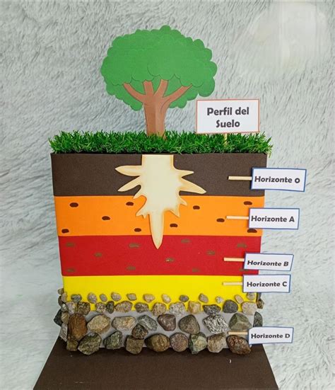 Soil Layer Model Easy Idea Soil Profile Model School Project Layers Of