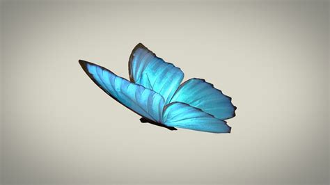 Beautiful Butterfly Spiritual Flower Clip Art Library