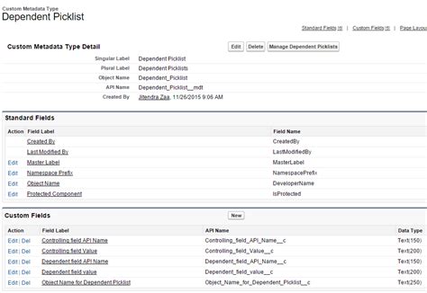 Dependent Picklist In Salesforce Flow Using Custom Metadata Type Video Jitendra Zaa