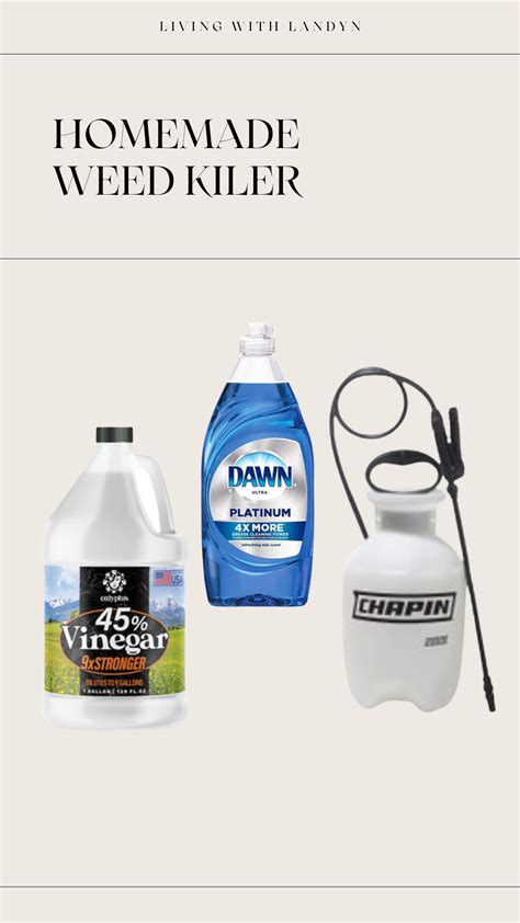 Homemade Weed Killer Living With Landyn