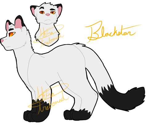 More Warrior Cat Designs — Blackstar Shadowclan Leader I Did Not Mean