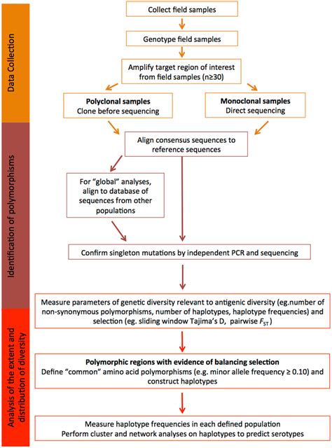 Understanding Diversity And Predicting Serotypes Using Population