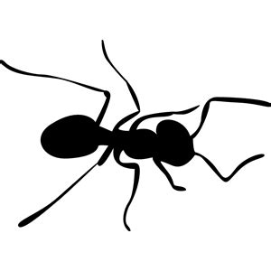 Ant Silhouette Ants Silhouette Illustration Clip Art
