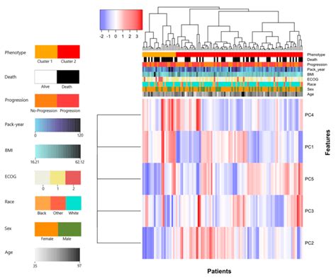 Heatmap Representing The Imaging Phenotype Calculated Through Download Scientific Diagram