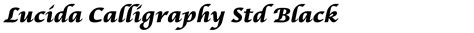 Lucida Calligraphy Font Webfont And Desktop Myfonts