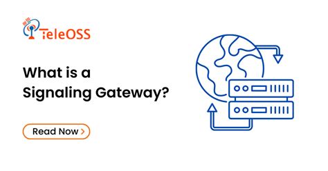 What Is A Signaling Gateway