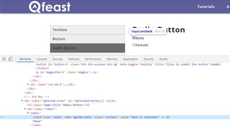 How To Automate Radio Button In Selenium Webdriver Irzu Institute