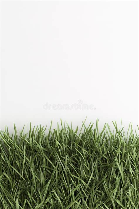 Stylized Cartoon Grass Forms A Vibrant Border At The Bottom Of A White