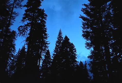 Sequoia National Forest Upper Peppermint Dispersed Area Camping