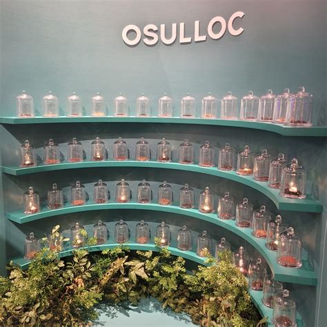 Find Your Taste 오설록 취향의 발견 팝업스토어 여의도 더 현대 티아이디