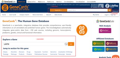 Genecards数据库详解 知乎