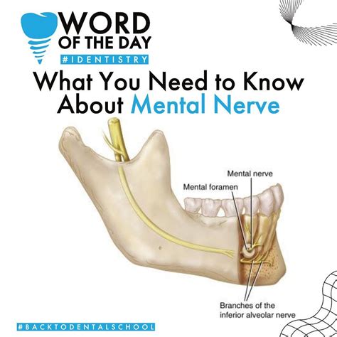 Dentistry On Instagram On Instagram “what You Need To Know About