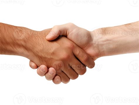 Two Hands Shaking The Universal Language Of Connection