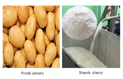 Principle Of Isolation Of Starch From Potatoindustry News