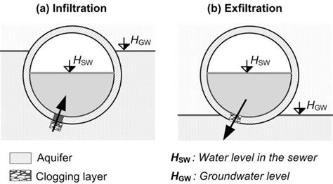 Typical Schematization Of Possible Interactions Between Groundwater And