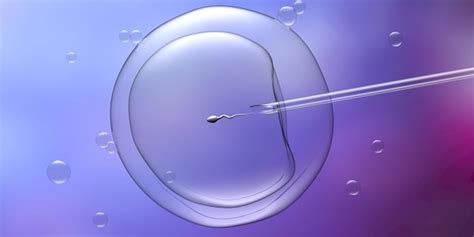 Premium Photo Artificial Insemination Ivf In Vitro Fertilization Ovum