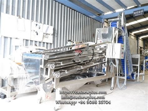 cashew nut grading machine grader and sorting machines precision