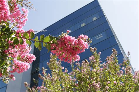 Sustainability At Sac State Sustainability At Sac State