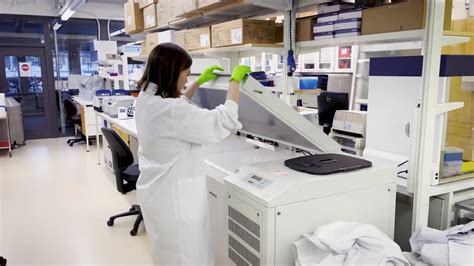 Camilia Consiglio Researches Sex Hormones Vs Immunity