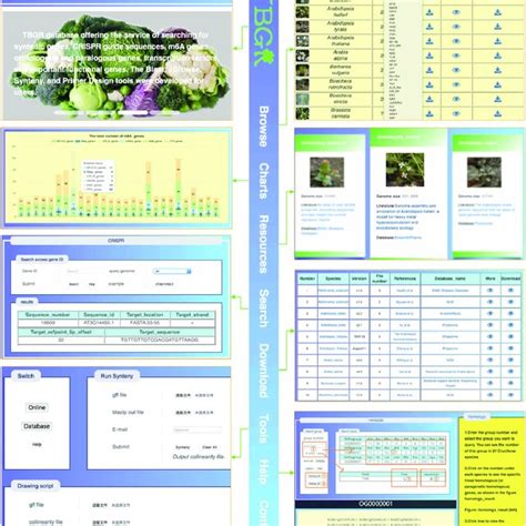 Overview Of The Main Interfaces And Internal Features Of The Tbgr