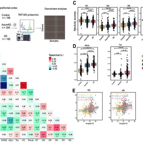 Overview Outline Of Astrocyte Dataset Categories And Analysis Pipeline