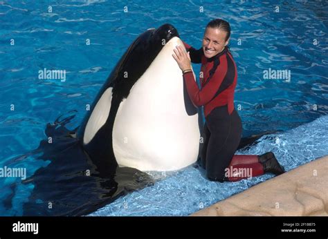 Dawn Brancheau A Whale Trainer At Seaworld Adventure Park Shown