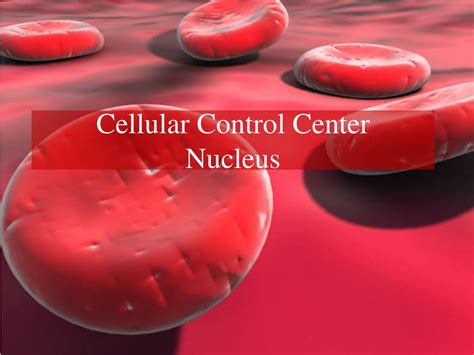 Ppt Cell Powerpoint Presentation Free Download Id5437695