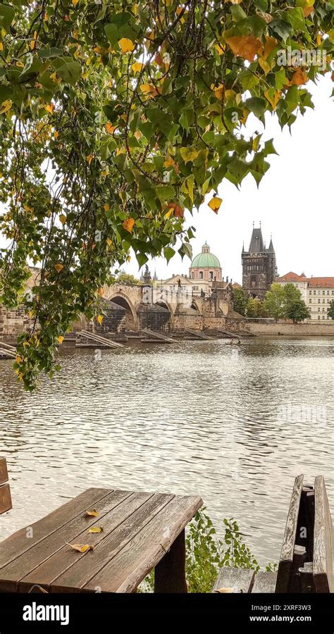 Autumn Leaves Frame Vltava River View Charles Bridge In Prague Czech