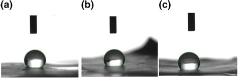The Contact Angles Associated With Pclsf Scaffolds At Different Times