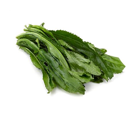 Culantro Vega Produce Eat Exotic Be Healthy